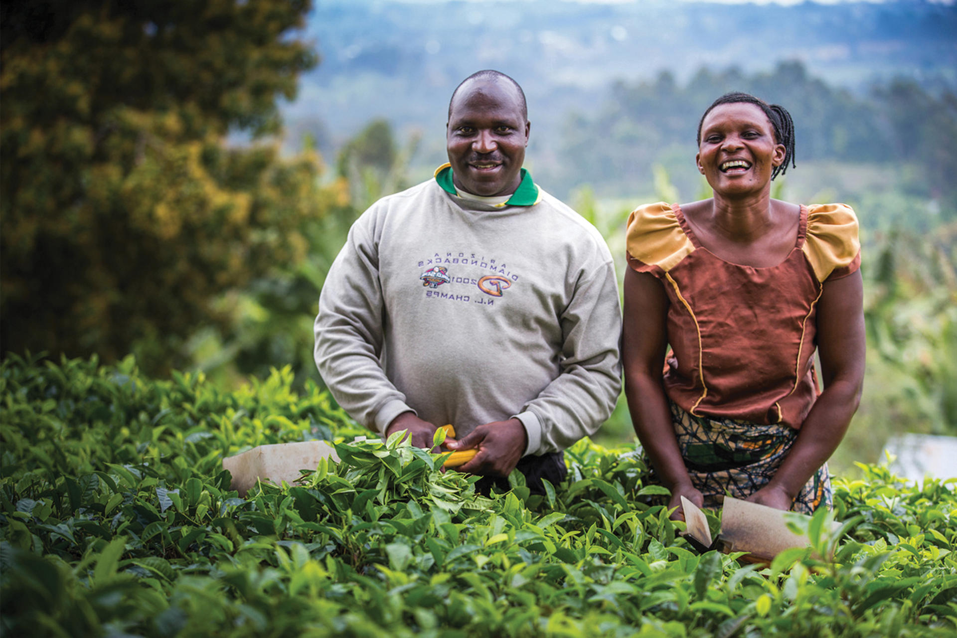 TechnoServe - Faircom Global Philanthropy